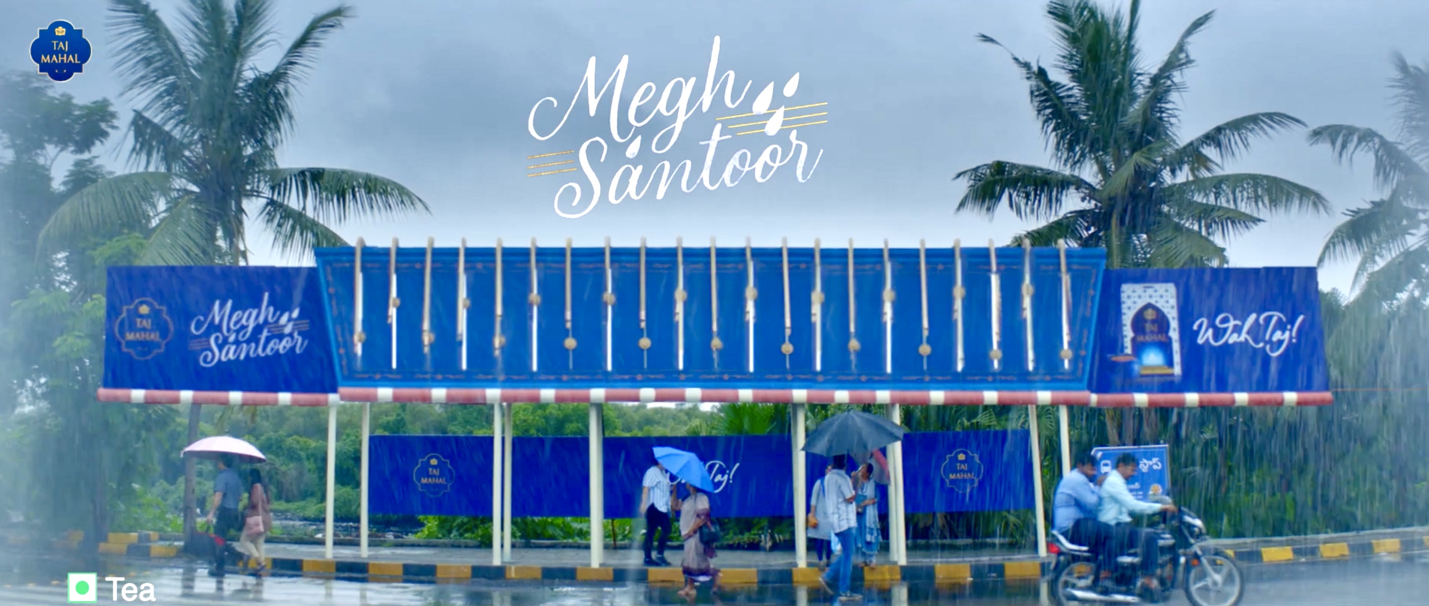 泰姬玛哈茶用梅雨演奏一支曲子 | TOPYS创意内容平台